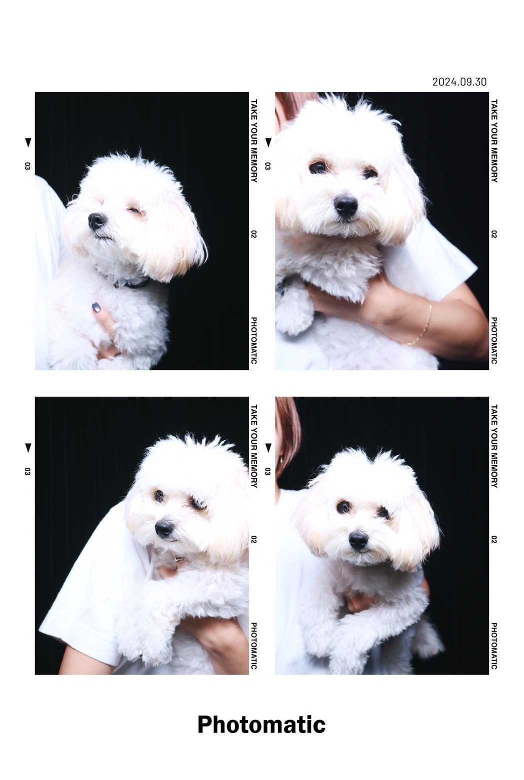 若者の街 下北沢にPhotomaticが期間限定登場 | KHDグループの社内報 KIZUNA